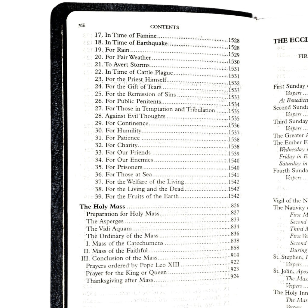 The Liturgical Rosary: Meditations for Each Hour, Day & Season of the ...