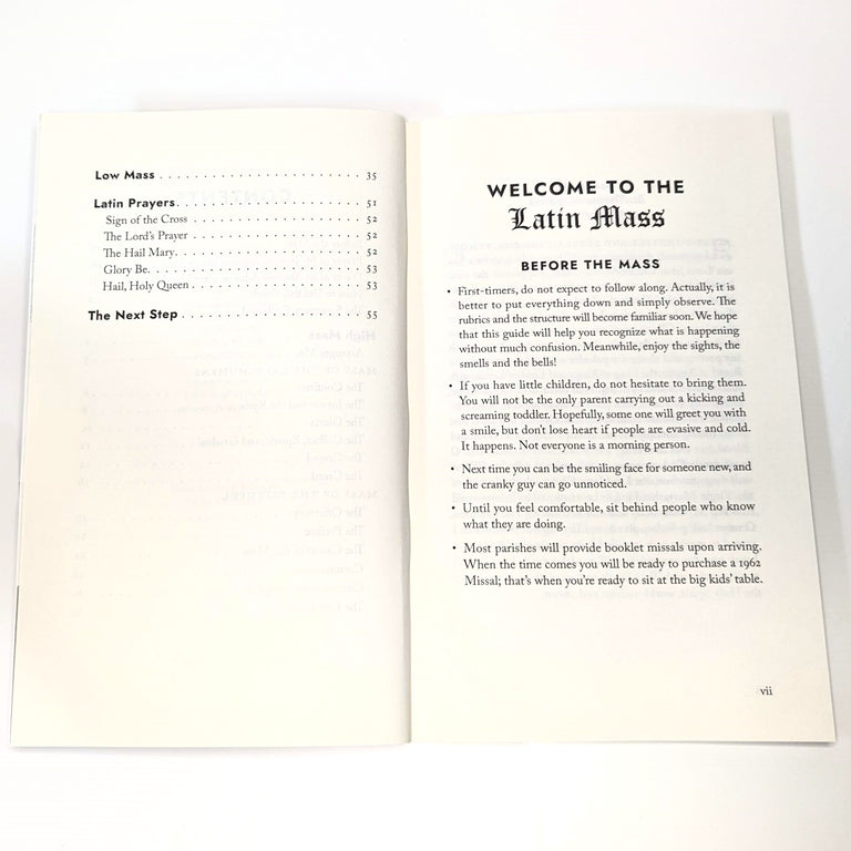 A Beginner’s Guide to The Traditional Latin Mass – Latin Mass Helper Store