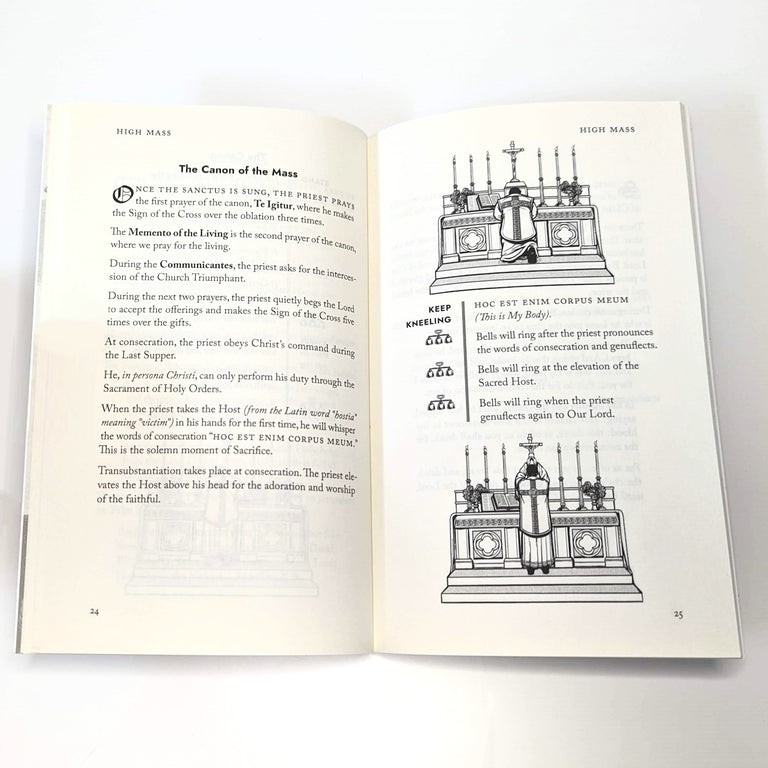 Catena Aurea (Complete Set) | Aquinas' Commentary on the Four Gospels ...