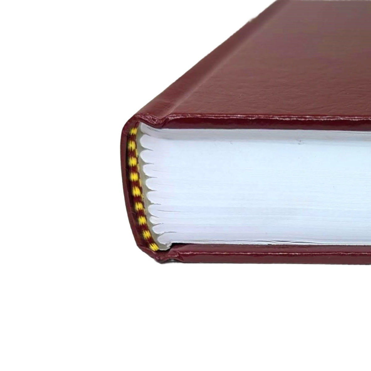 My Catholic Faith: A Manual of Religion (Traditional Catechism in Pict ...