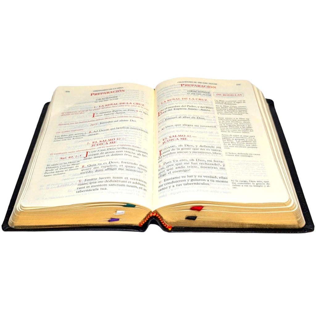 Deliverance Prayers - For Use by the Laity | Fr. Chad Ripperger – Latin ...