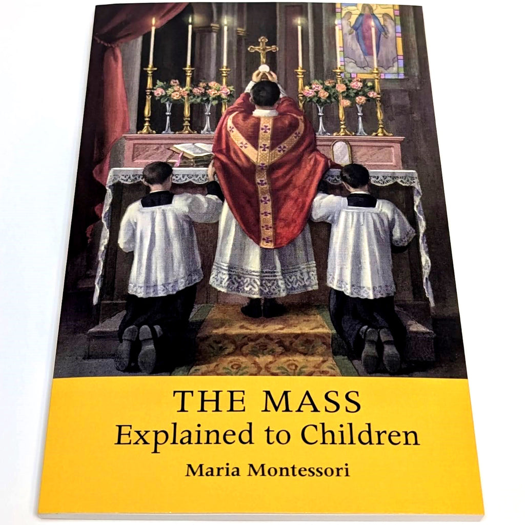The Mass Explained to Children – Latin Mass Helper Store